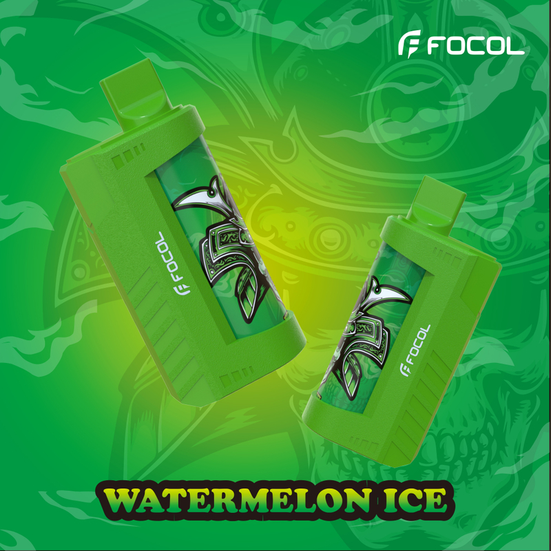 5000 Puff Rechargeable Mesh Coil Disposable Vape from China ...